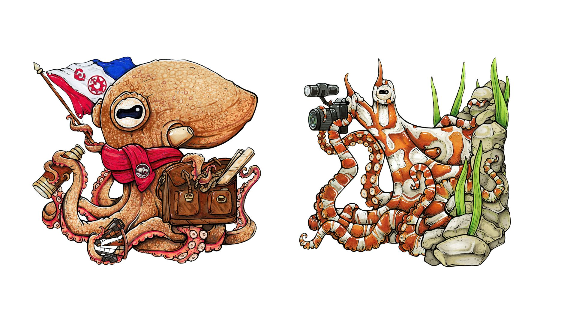 OctoNation X The Explorers Club – OctoNation - OctopusFanClub