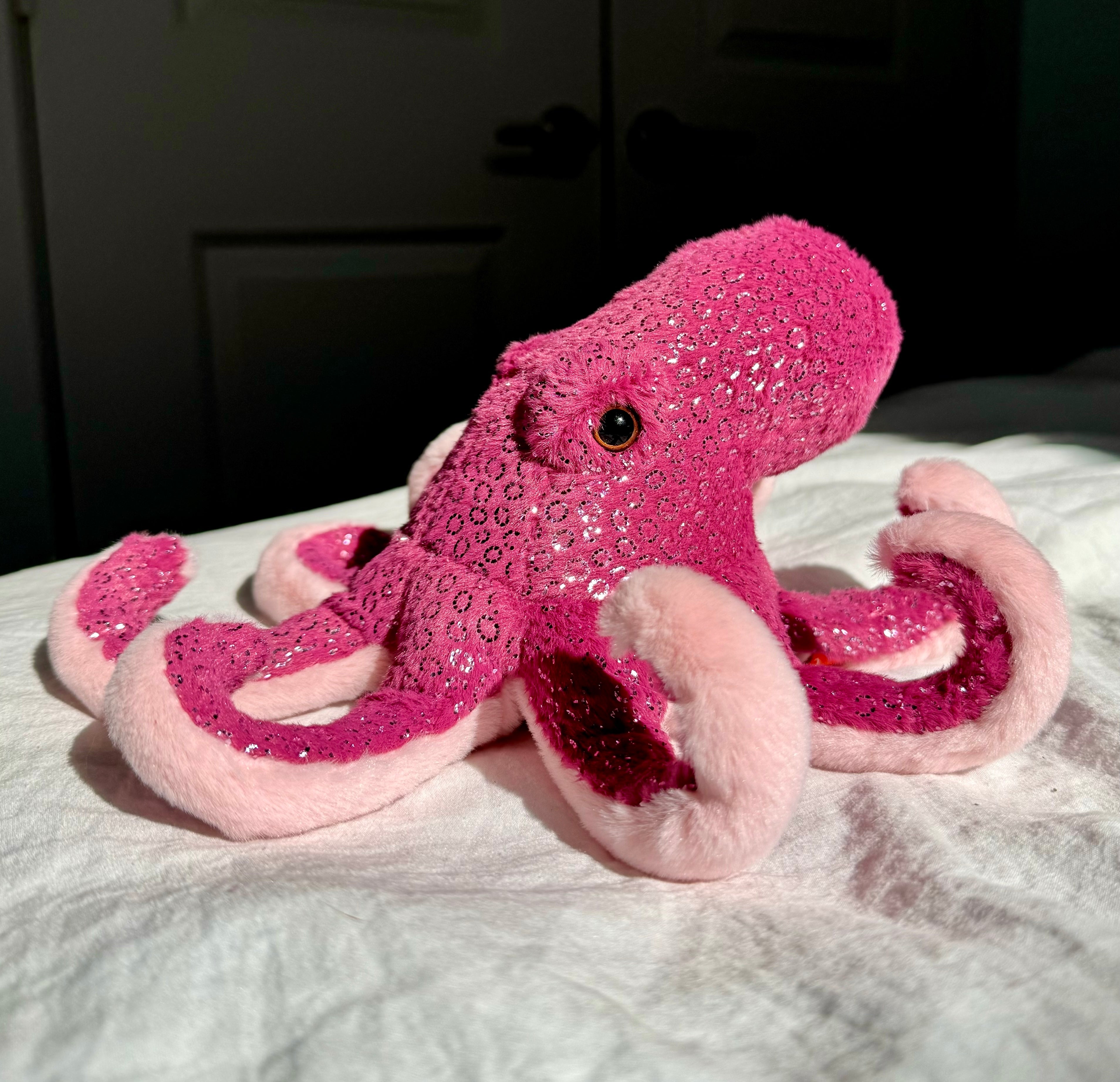 small-pink-foil-ringed-octopus – OctoNation - OctopusFanClub