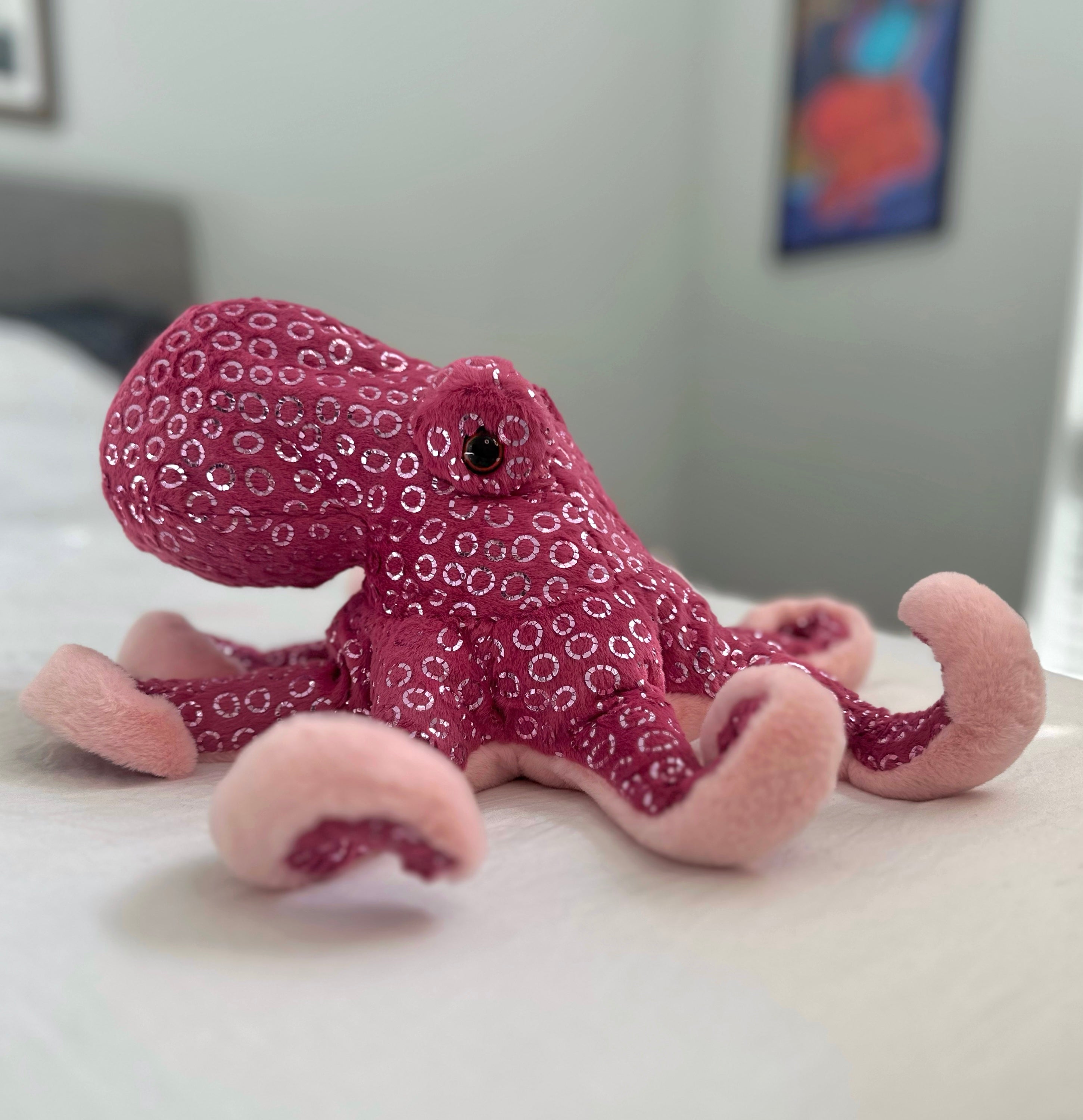 medium-pink-foil-ringed-octopus – OctoNation - OctopusFanClub