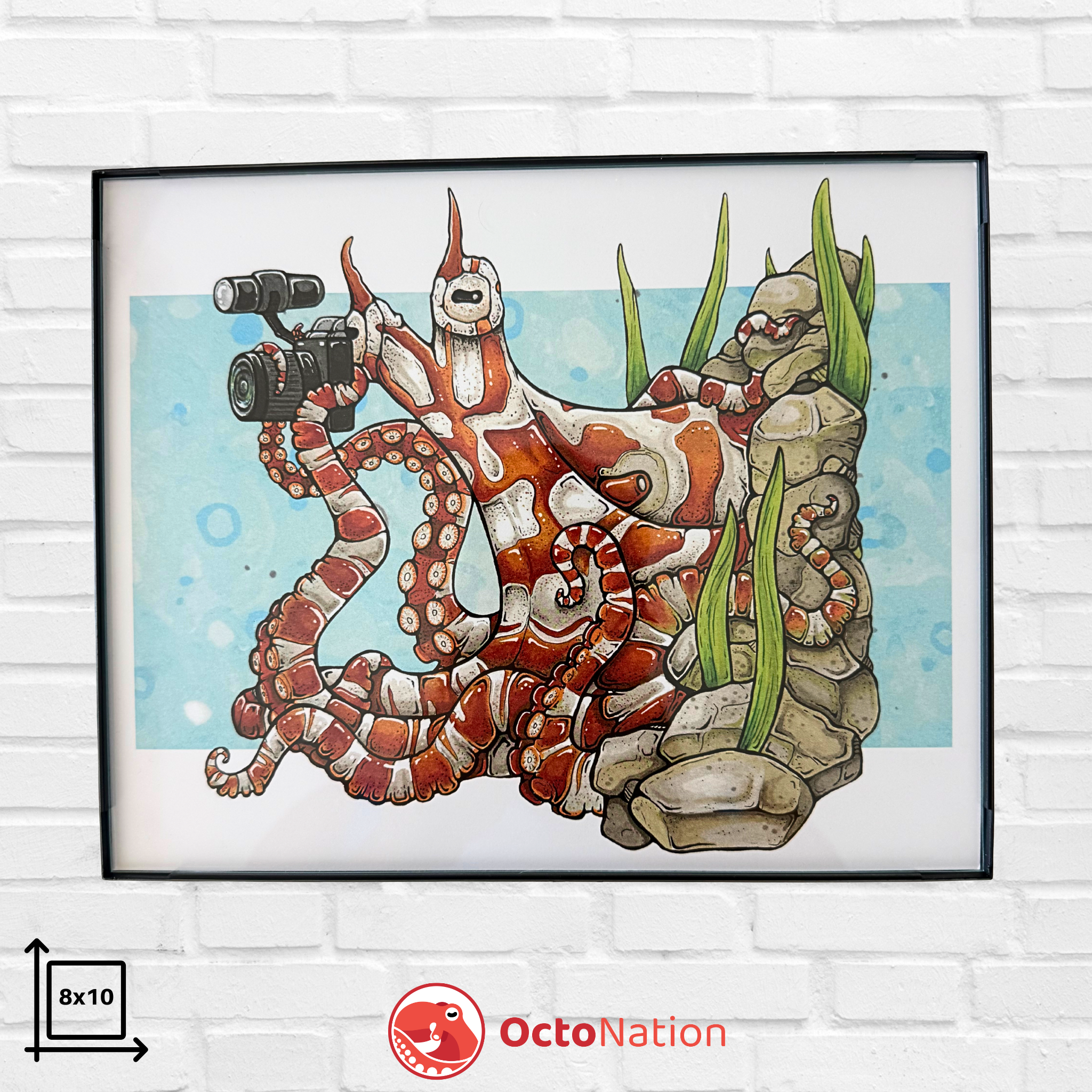 The Octographer – Wunderpus Octopus Print (Wunderpus photogenicus) Wal ...