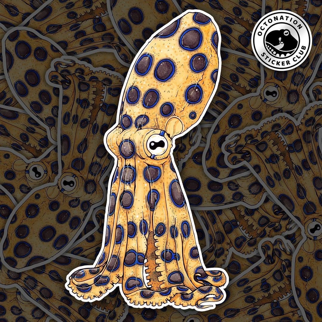 Standing Blue-Ringed Octopus | OctoNation, Octopus Sticker Club ...